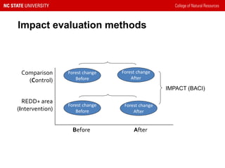 Forest carbon accounting and impact evaluation | PDF | Environment ...