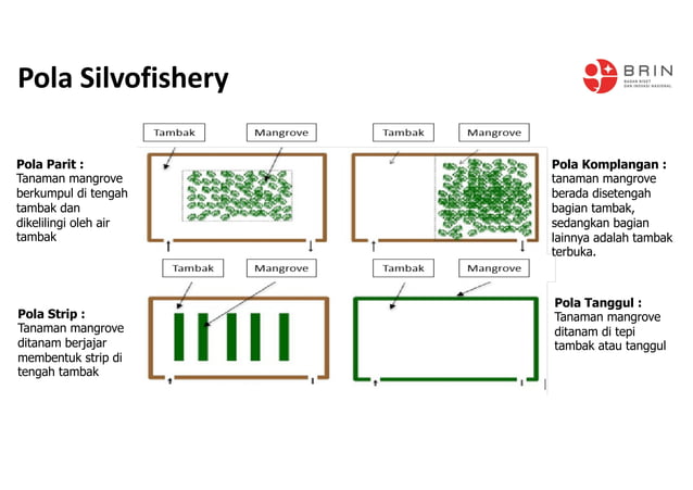 PPT Silvofishery_BrinEnvirotalk.pdf