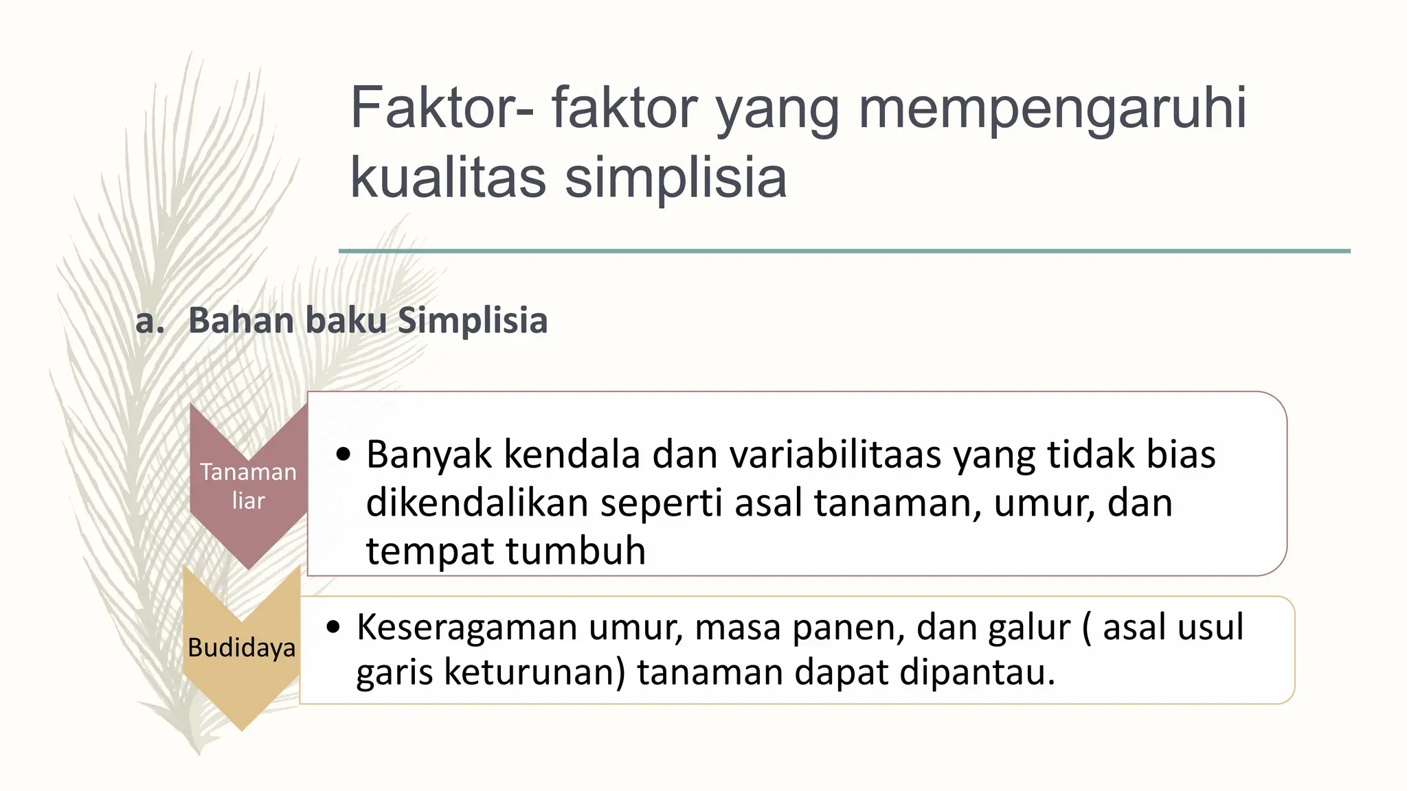 PPT SIMPLISIA_X FARMASI.pptx
