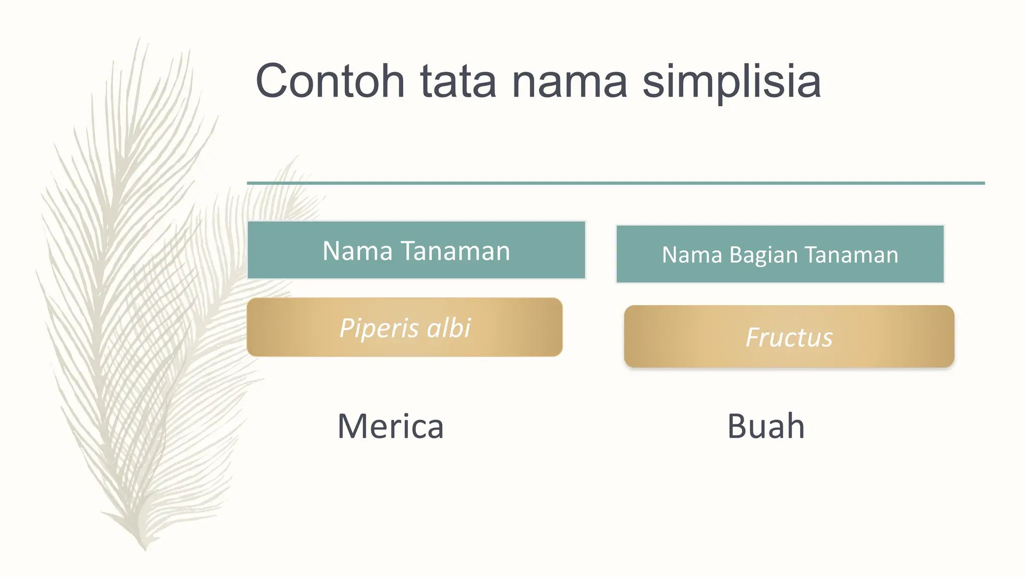 PPT SIMPLISIA_X FARMASI.pptx
