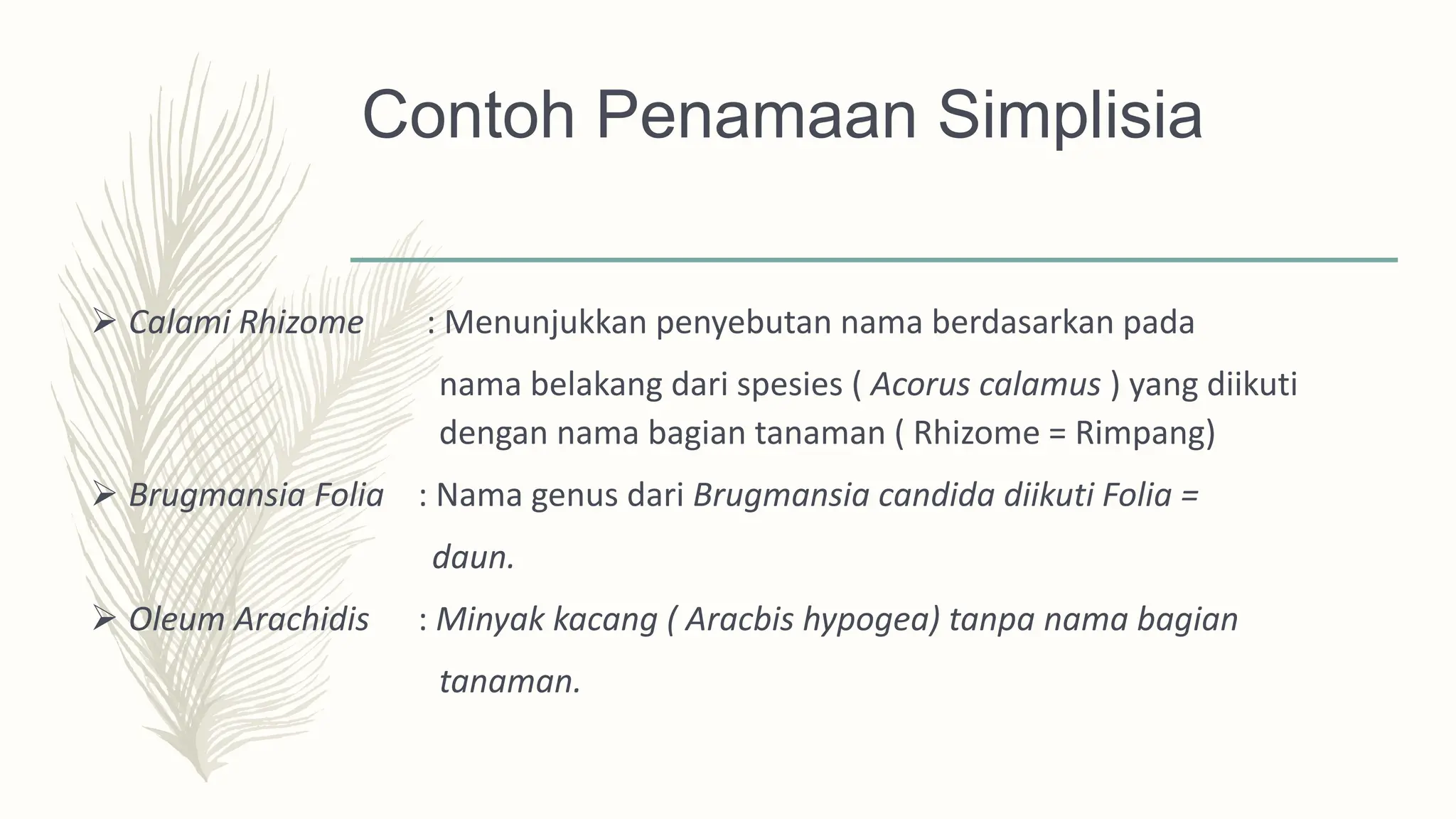 PPT SIMPLISIA_X FARMASI.pptx
