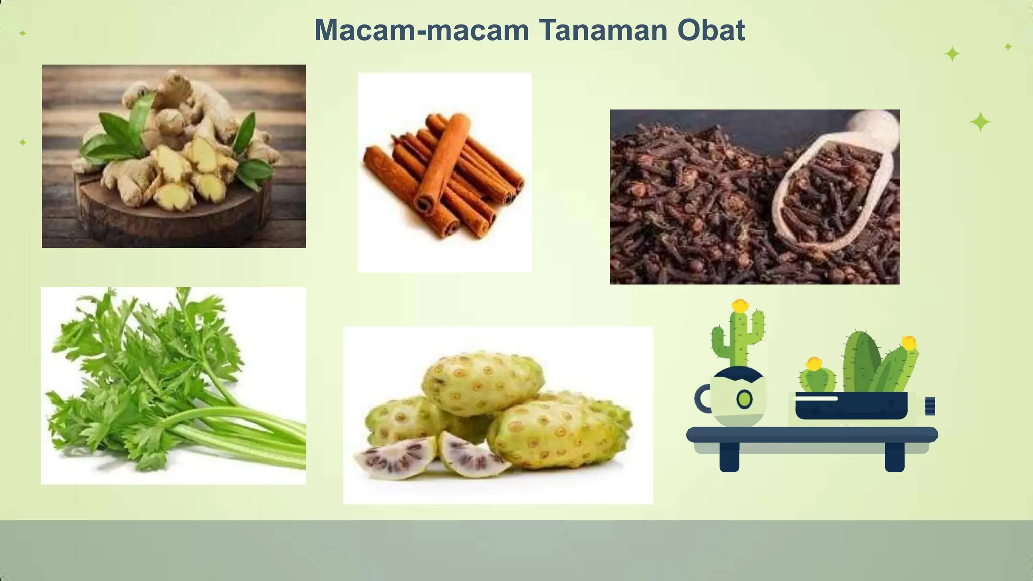 PPT SIMPLISIA_X FARMASI.pptx