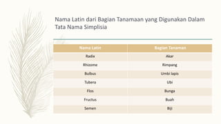 PPT SIMPLISIA_X FARMASI.pptx