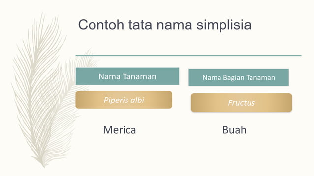 PPT SIMPLISIA_X FARMASI.pptx