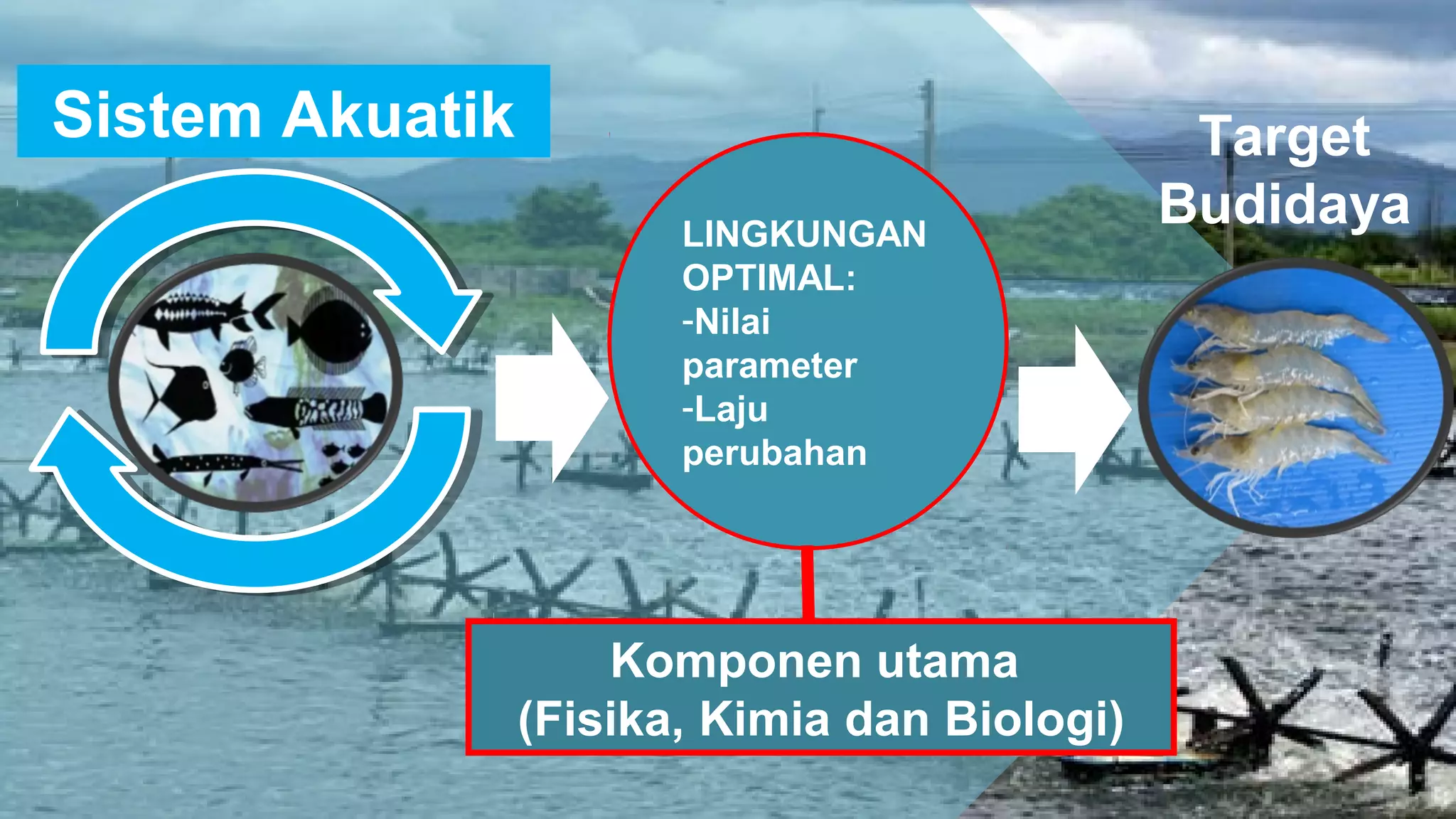 Biofilm Pada Akuakultur dan Arah Pemanfaatan dan Pengontrolan Mikroba ...