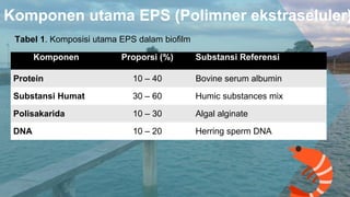 Biofilm Pada Akuakultur dan Arah Pemanfaatan dan Pengontrolan Mikroba ...