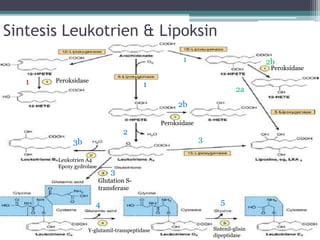 Biosintesis Eikosanoid | PPTX