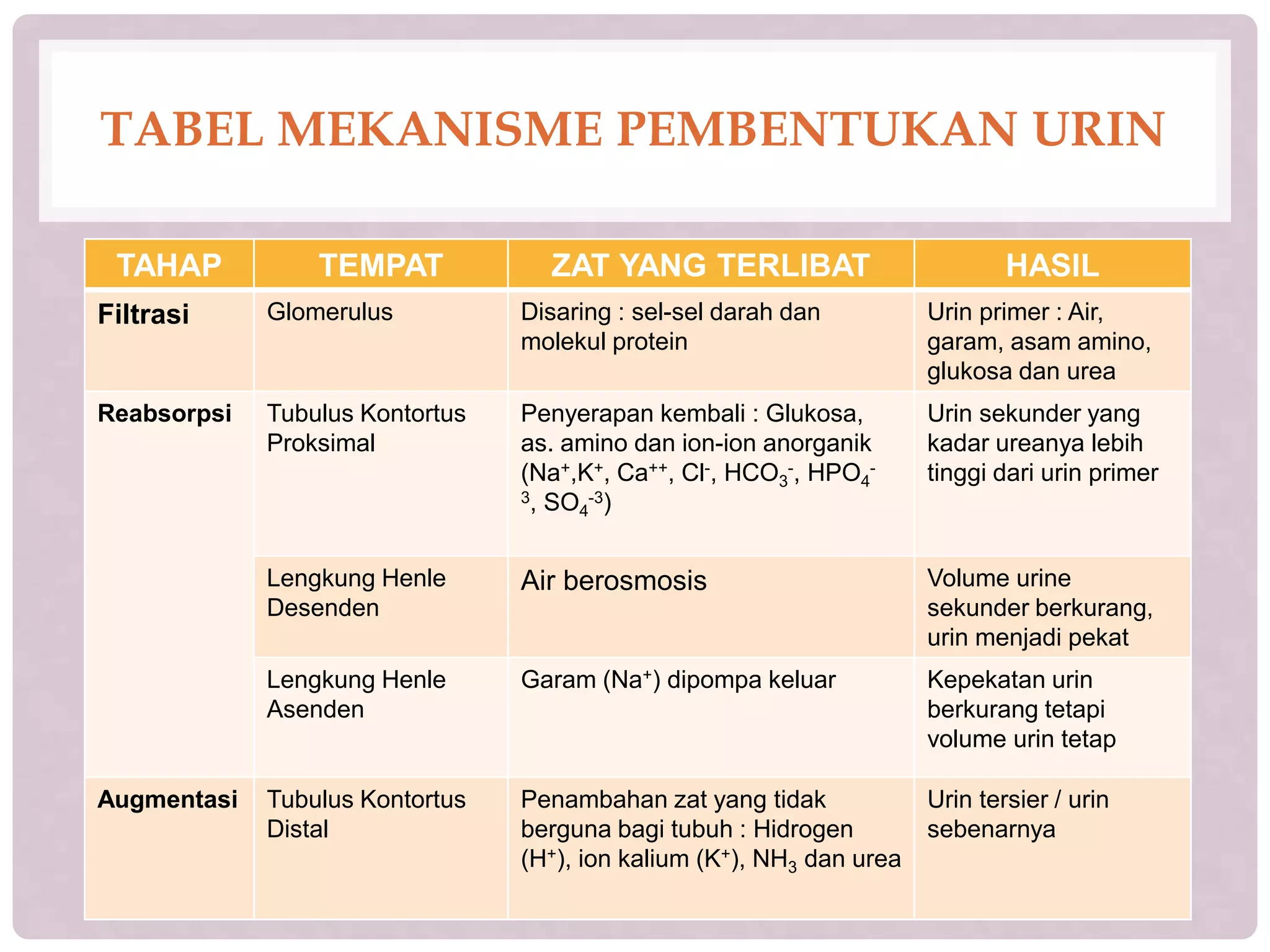 Ppt sistem ekskresi | PPTX