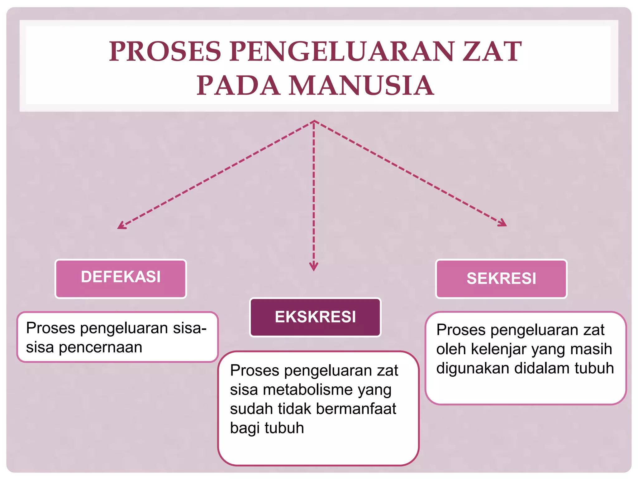 Ppt sistem ekskresi | PPTX