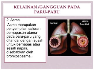 Ppt sistem ekskresi | PPTX