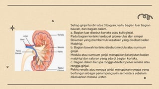 PPT SISTEM EKSKRESI PADA MANUSIA.pptx
