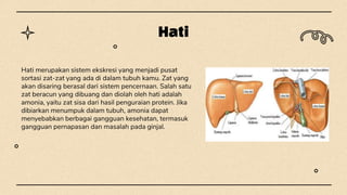 PPT SISTEM EKSKRESI PADA MANUSIA.pptx