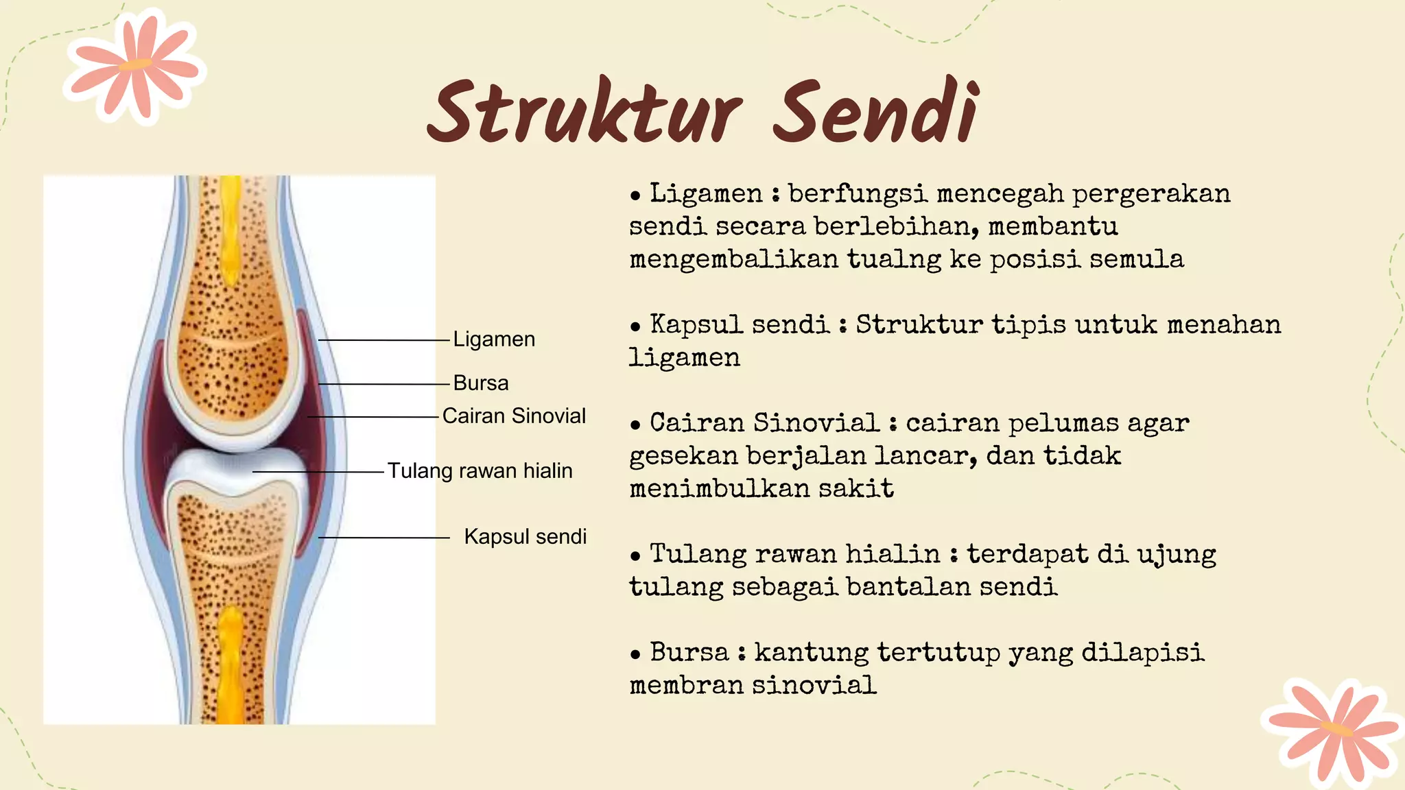 PPT SISTEM GERAK 2.pptx | Geography | Science
