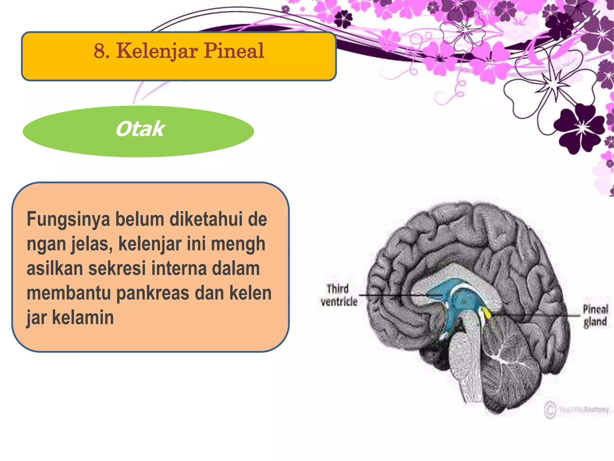 Ppt sistem hormon pada manusia | PPTX