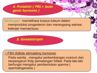 Ppt sistem hormon pada manusia | PPTX