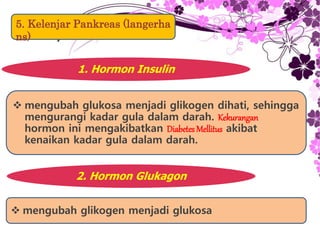 Ppt sistem hormon pada manusia | PPTX