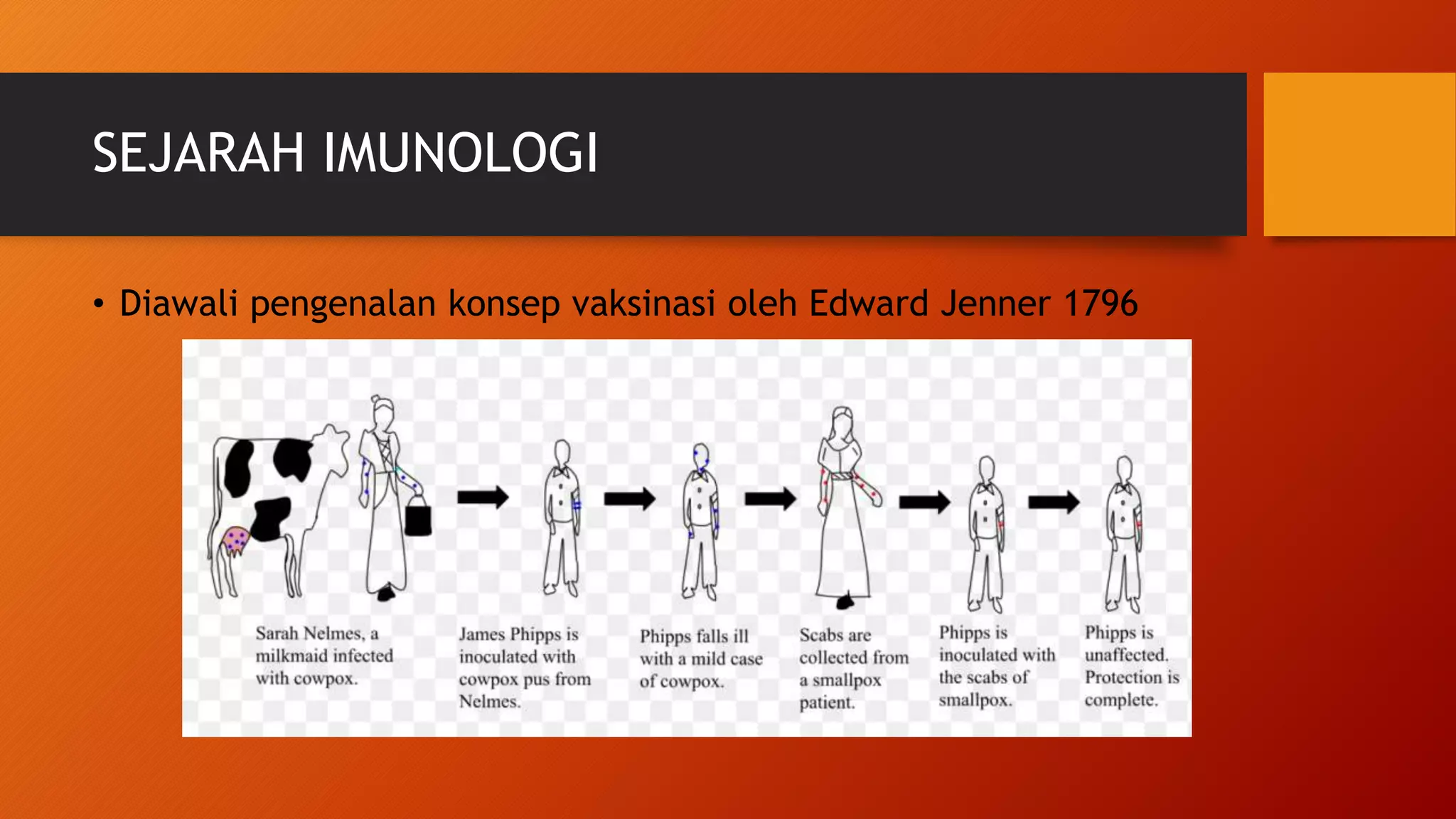 PPT Sistem Immun Innate dan Adaptive.pptx