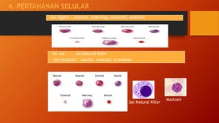 PPT Sistem Immun Innate dan Adaptive.pptx