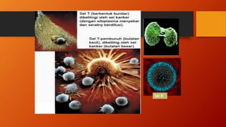 PPT Sistem Immun Innate dan Adaptive.pptx