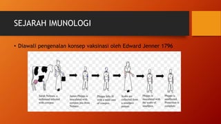 PPT Sistem Immun Innate dan Adaptive.pptx