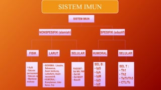 PPT Sistem Immun Innate dan Adaptive.pptx