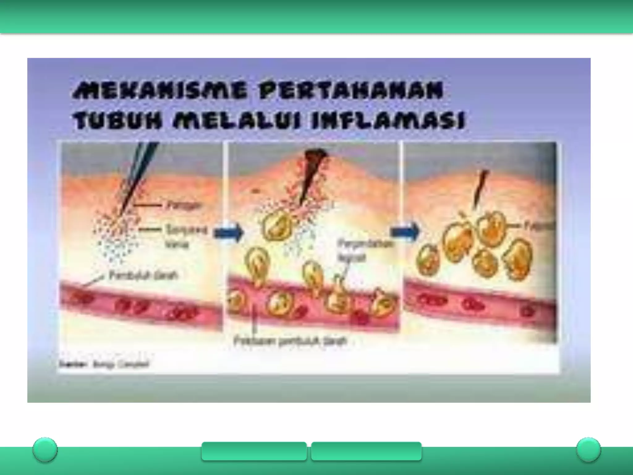 PPT SISTEM IMUNITAS.pptx