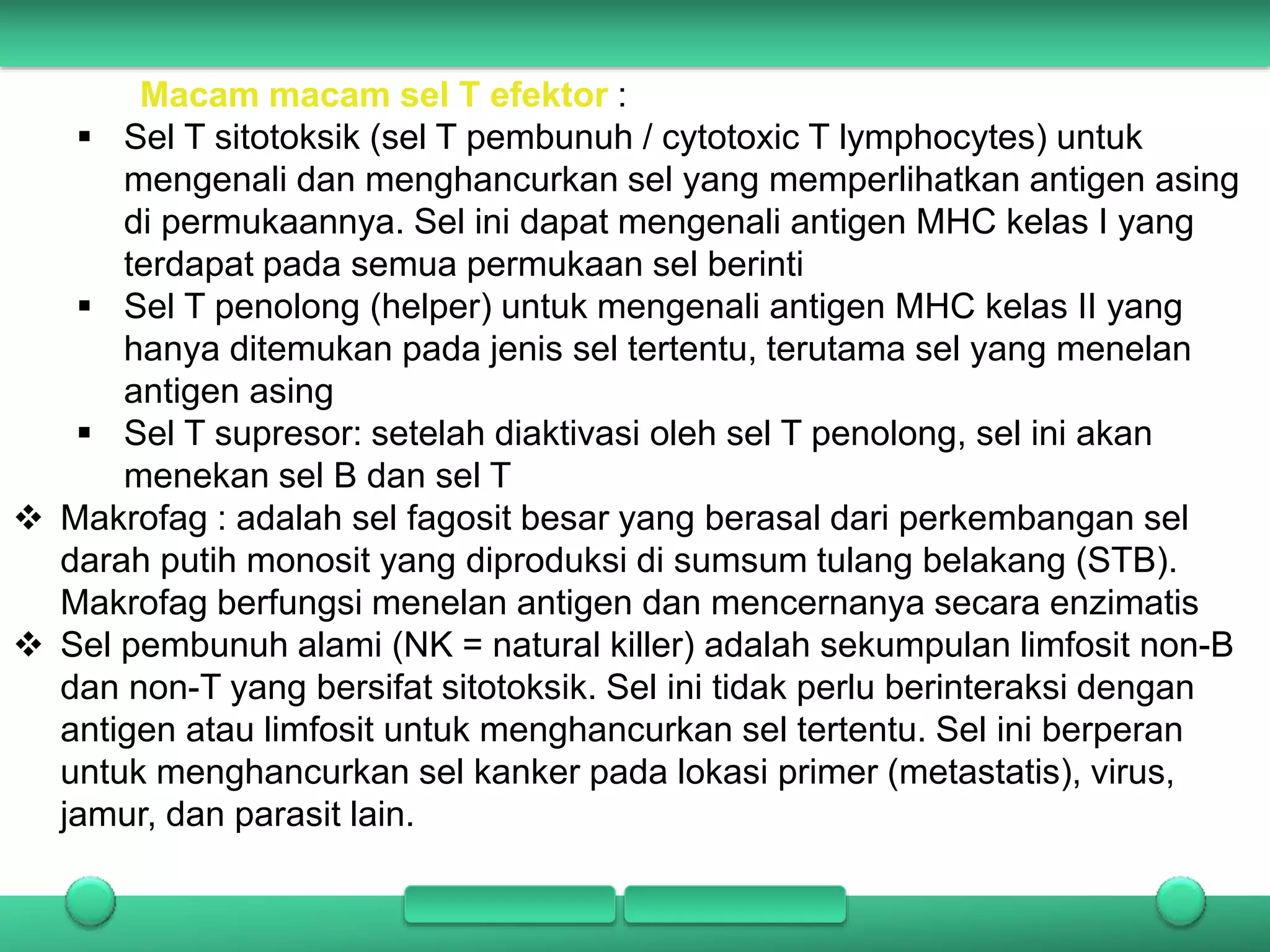 PPT SISTEM IMUNITAS.pptx
