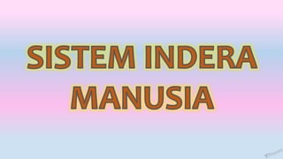 PPT SISTEM INDERA | PPTX