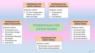 PPT SISTEM INDERA | PPTX