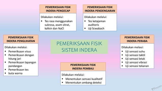 PPT SISTEM INDERA | PPTX
