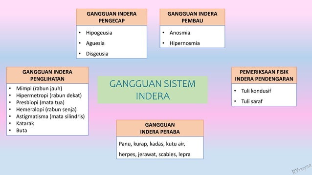 PPT SISTEM INDERA | PPTX