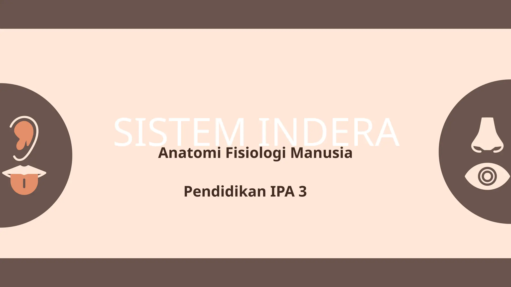 PPT SISTEM INDERA MANUSIA KELOMPOK 5.pptx