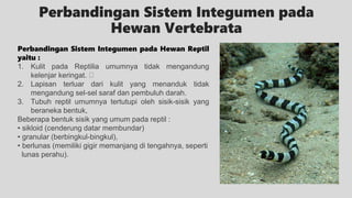 Power Point Materi Sistem Integumen.pptx