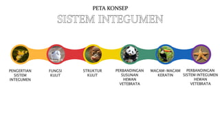 Power Point Materi Sistem Integumen.pptx