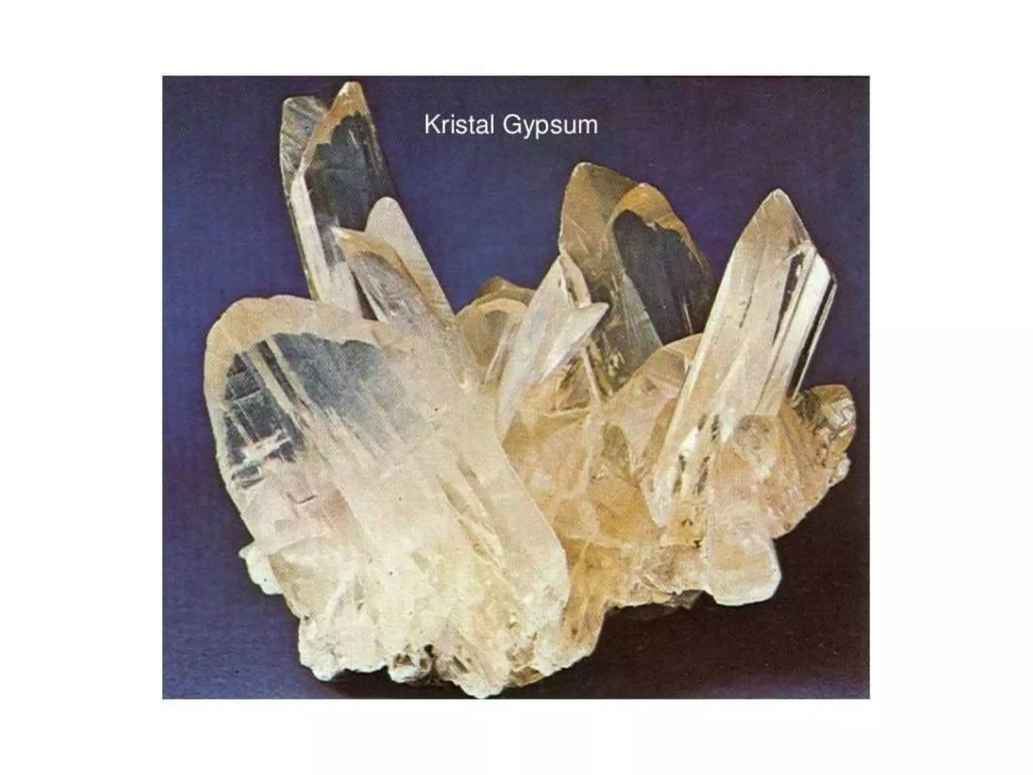PPT SISTEM KRISTAL.pptx
