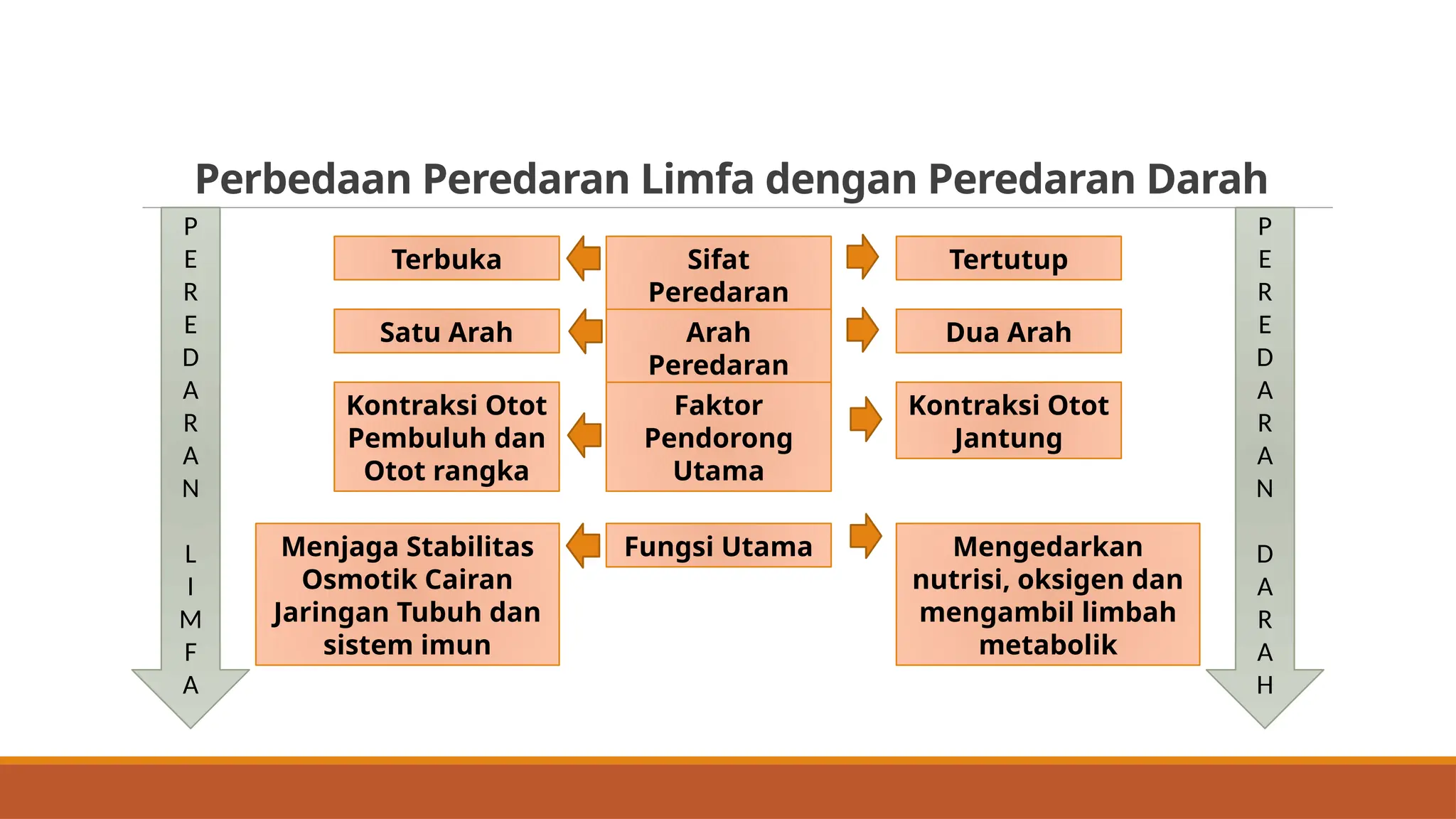 power point presentation sistem limfatik | PPTX