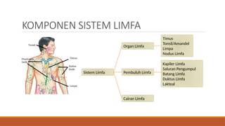 power point presentation sistem limfatik | PPTX