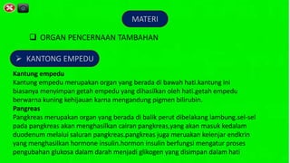 Ppt sistem pencernaan | PPTX
