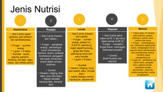 PPT Sistem Pencernaan kelas 8 SMP atau sederajat | PPTX