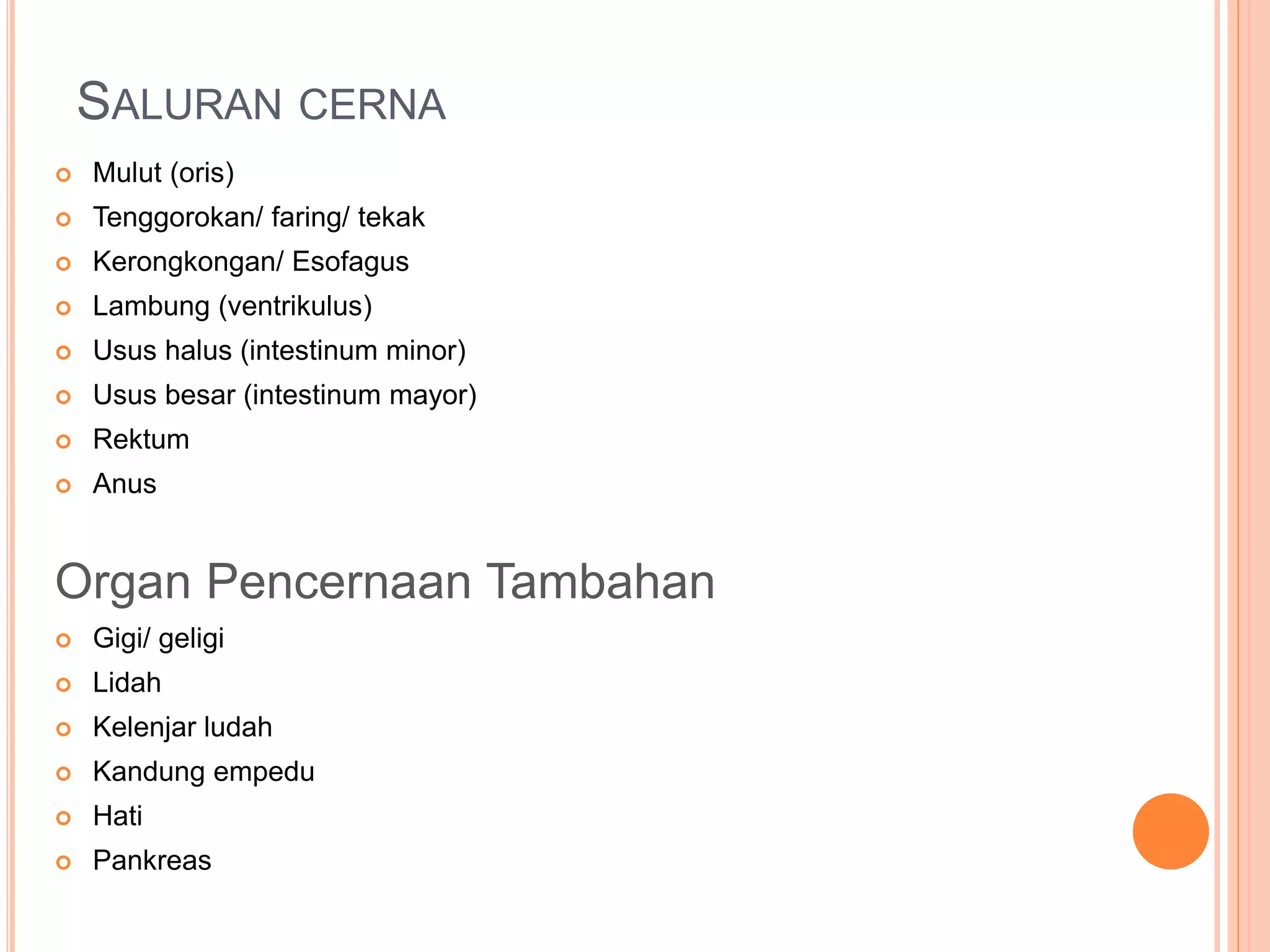 PPT_SISTEM_PENCERNAAN (1).pptx