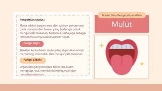 Materi Biologi kelas 12_Sistem Pencernaan Manusia | PPTX