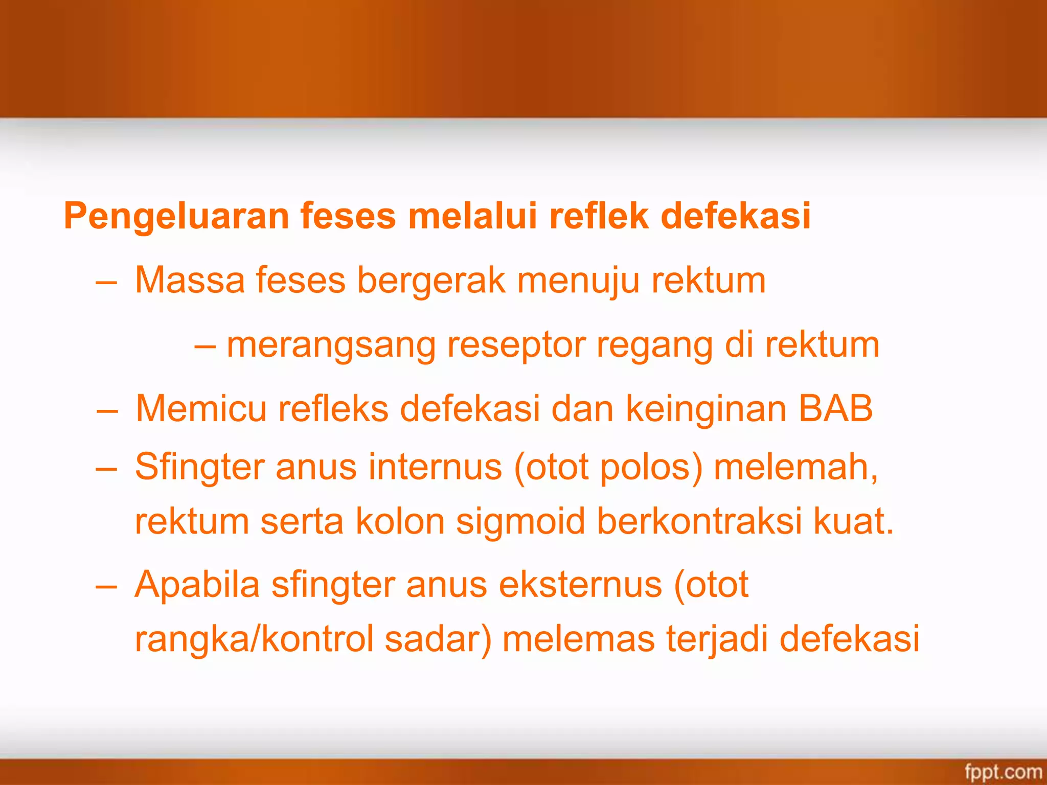 PPT Sistem Pencernaan Pertemuan 1.pptx