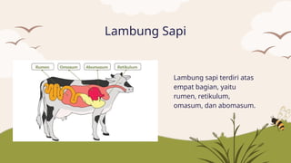 PPT_Sistem_pencernaan_ruminansia Kel5.pptx