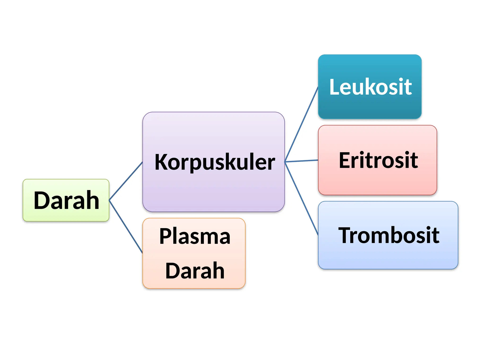 PPT SISTEM PEREDARAN DARAH MANUSIA KELAS 8.pptx