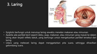 ppt Sistem Pernafasan Manusia.pptx