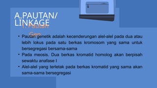 PPT SISTEM PERNAPASAN MANUSIA KELAS 11 SMA | PPTX