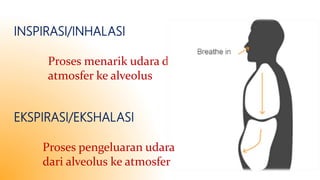 PPT sistem pernapasan 2 edit yunanda.pptx