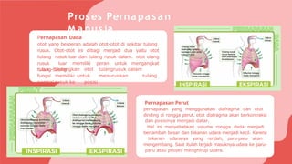 PPT Sistem Pernapasan Manusia Kelas VIII_4001421106_Wahyu Nur Alif.pptx