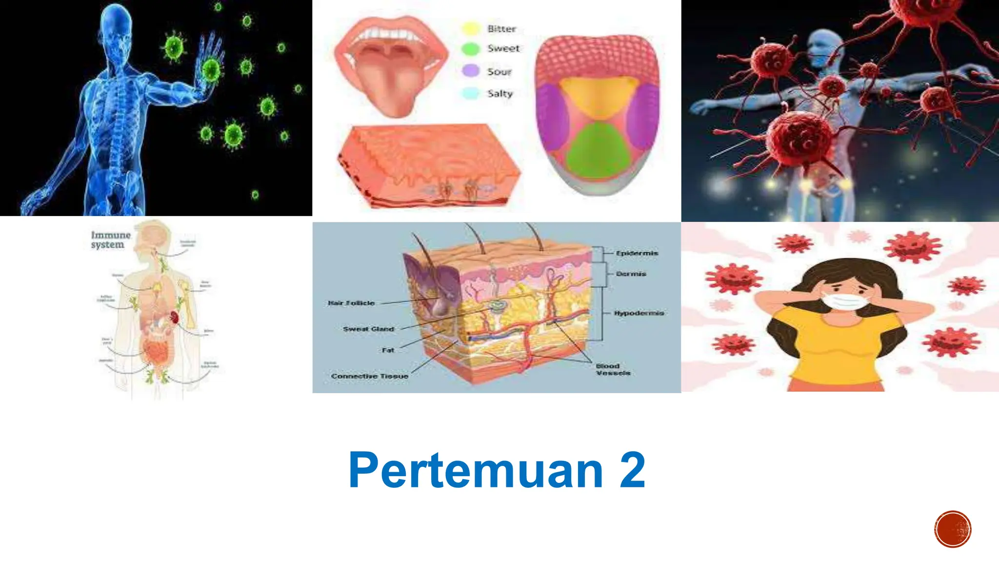 PPT Sistem Pertahanan Tubuh P2.pptx