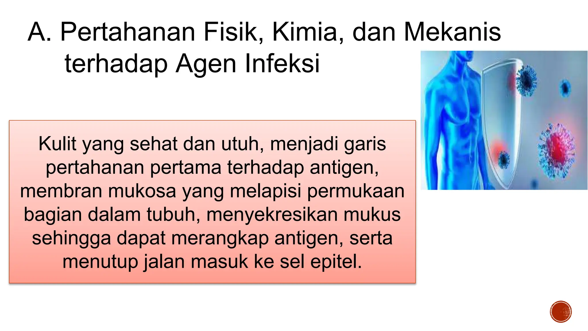 PPT Sistem Pertahanan Tubuh P2.pptx